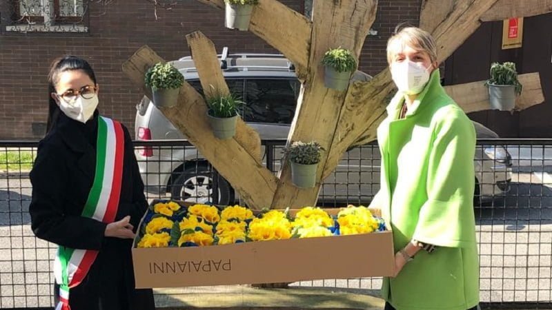 Pieve di Soligo, dall'amministrazione 114 primule gialle per ...