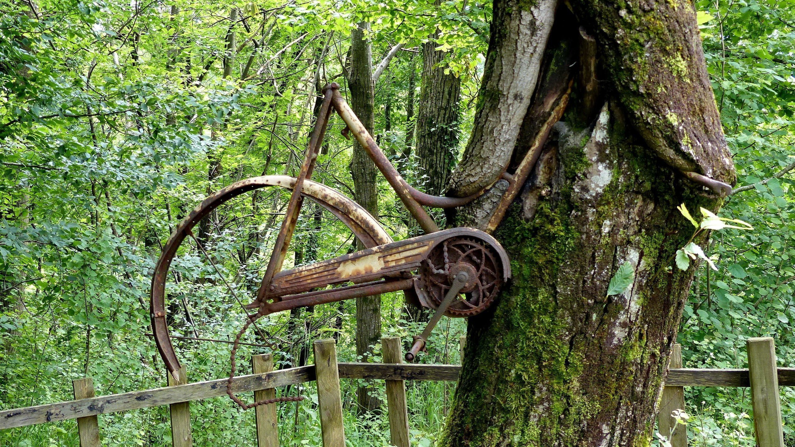 Serie CammiNATURAlmente di settembre, due nuovi itinerari proposti ...