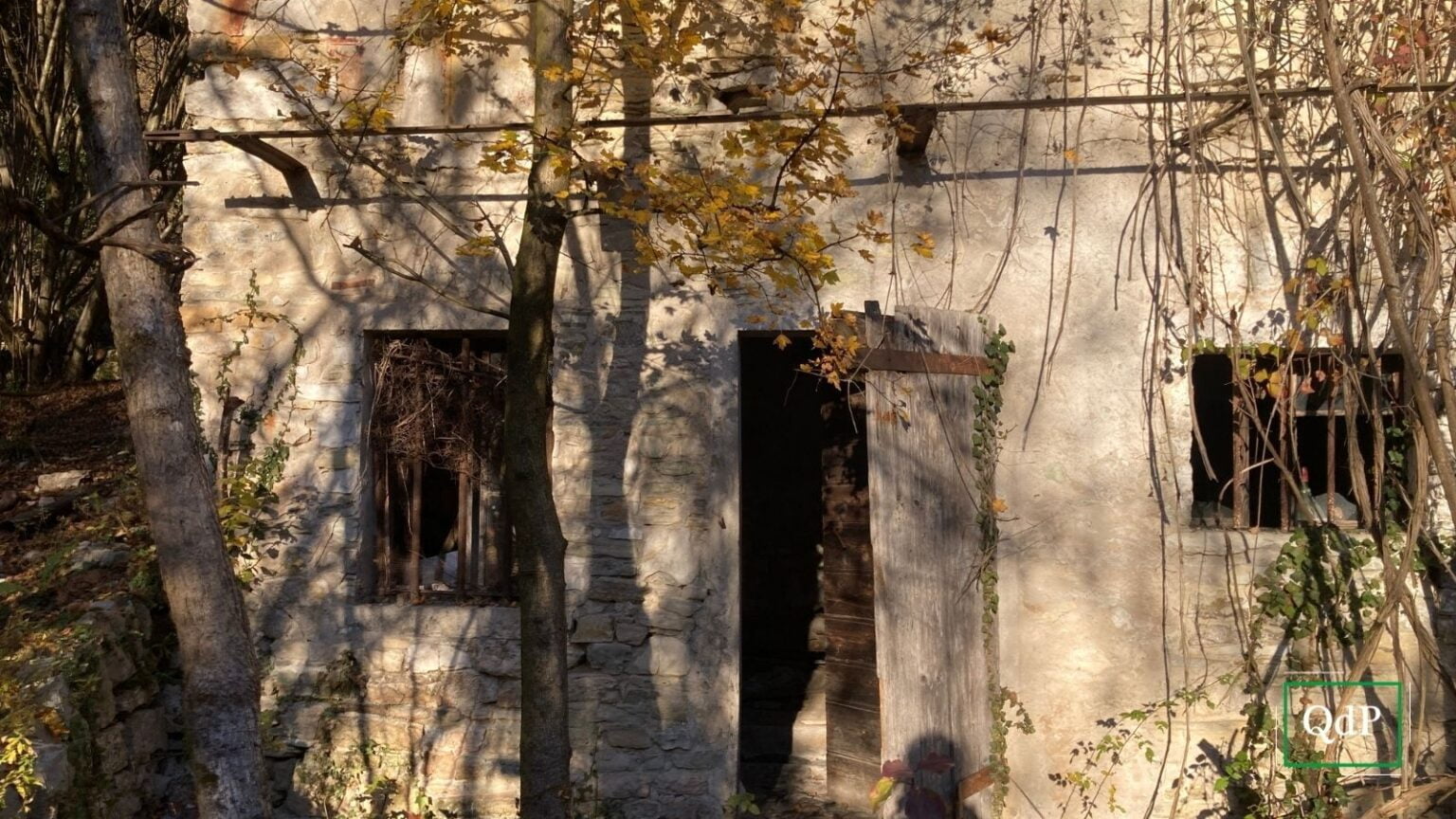 Il villaggio fantasma di Fumegai, dimenticato tra i boschi di Arsiè: un ...