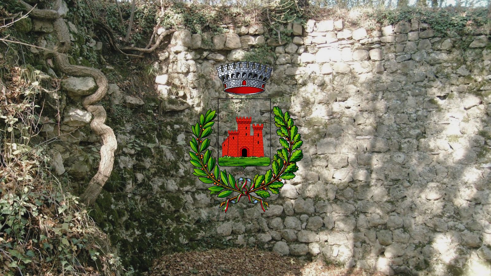 Toponimi della Marca, Castelcucco: Fortezze, rocce, tralci di vite e ...