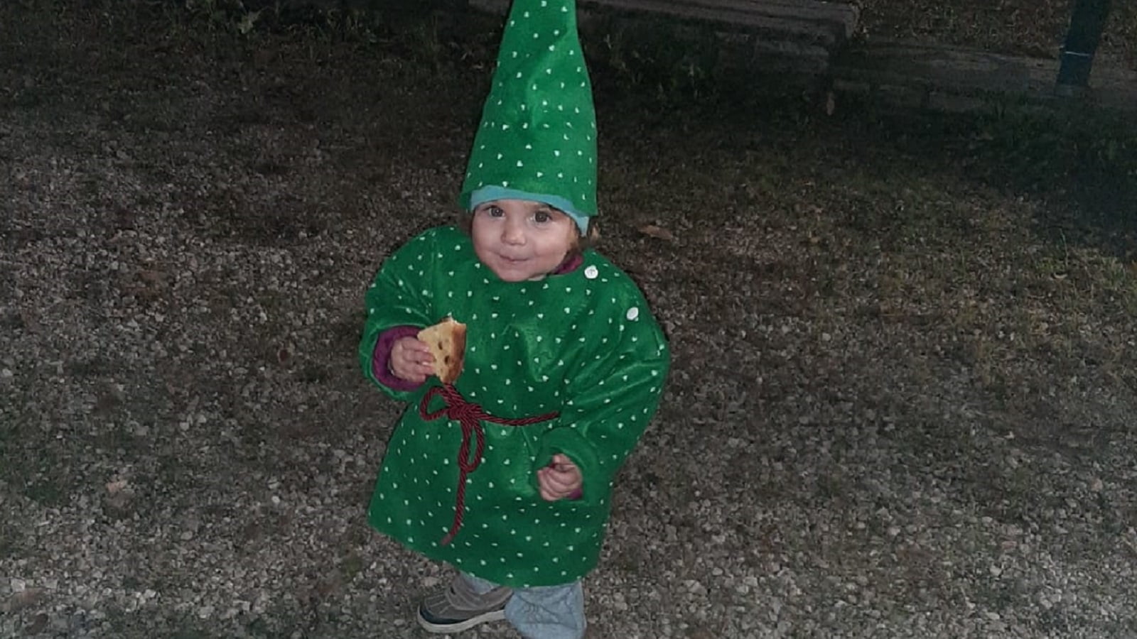 Vidor, nella notte della Vigilia arrivano gli elfi. Quest'anno con una ...