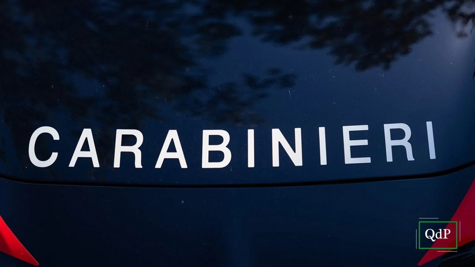 Rubati vasi di rose e un fusto di granaglie: furto dal valore di 600 euro