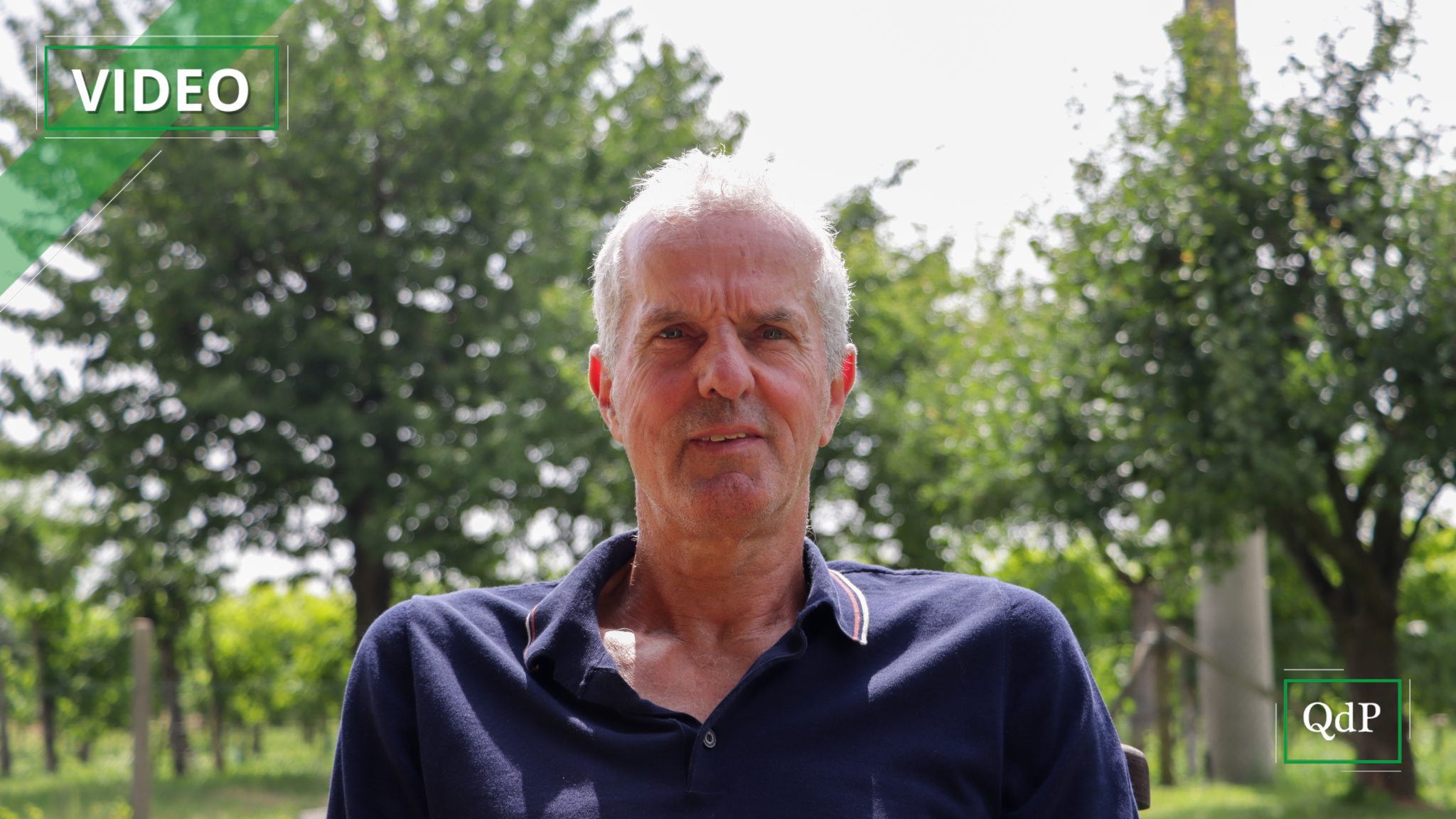 Cardi, preziosi per la nostra salute