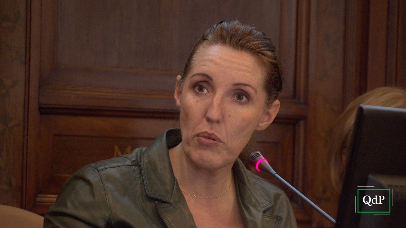 Elezioni europee, Donazzan eletta e Fratelli d'Italia sovrasta la Lega ...